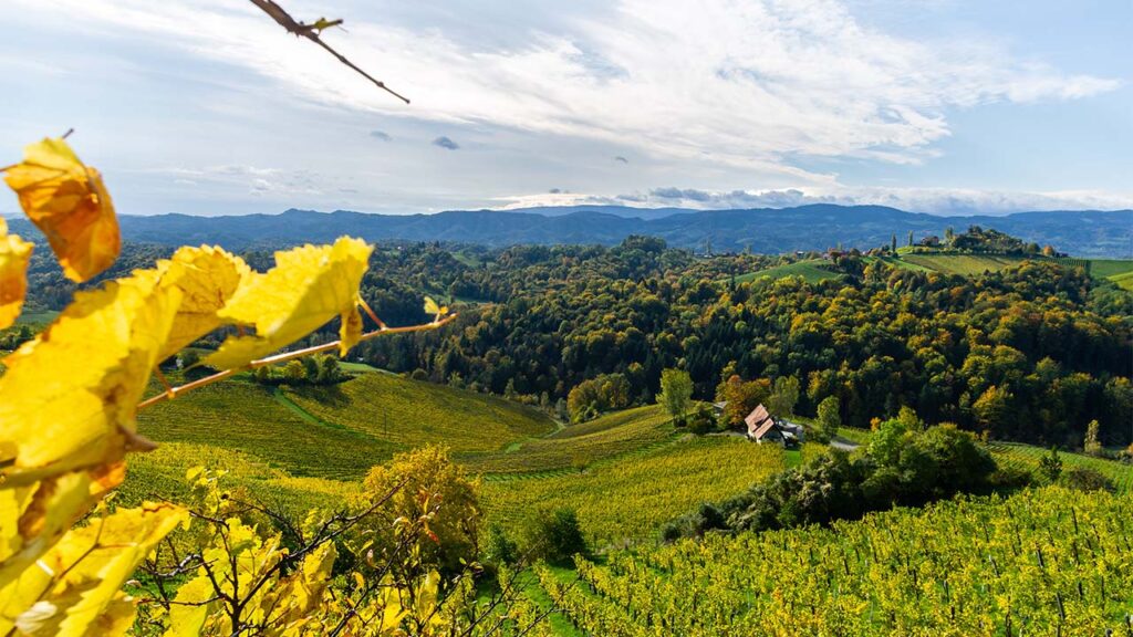 Ein Blick auf Gamlitz Steirerblicke